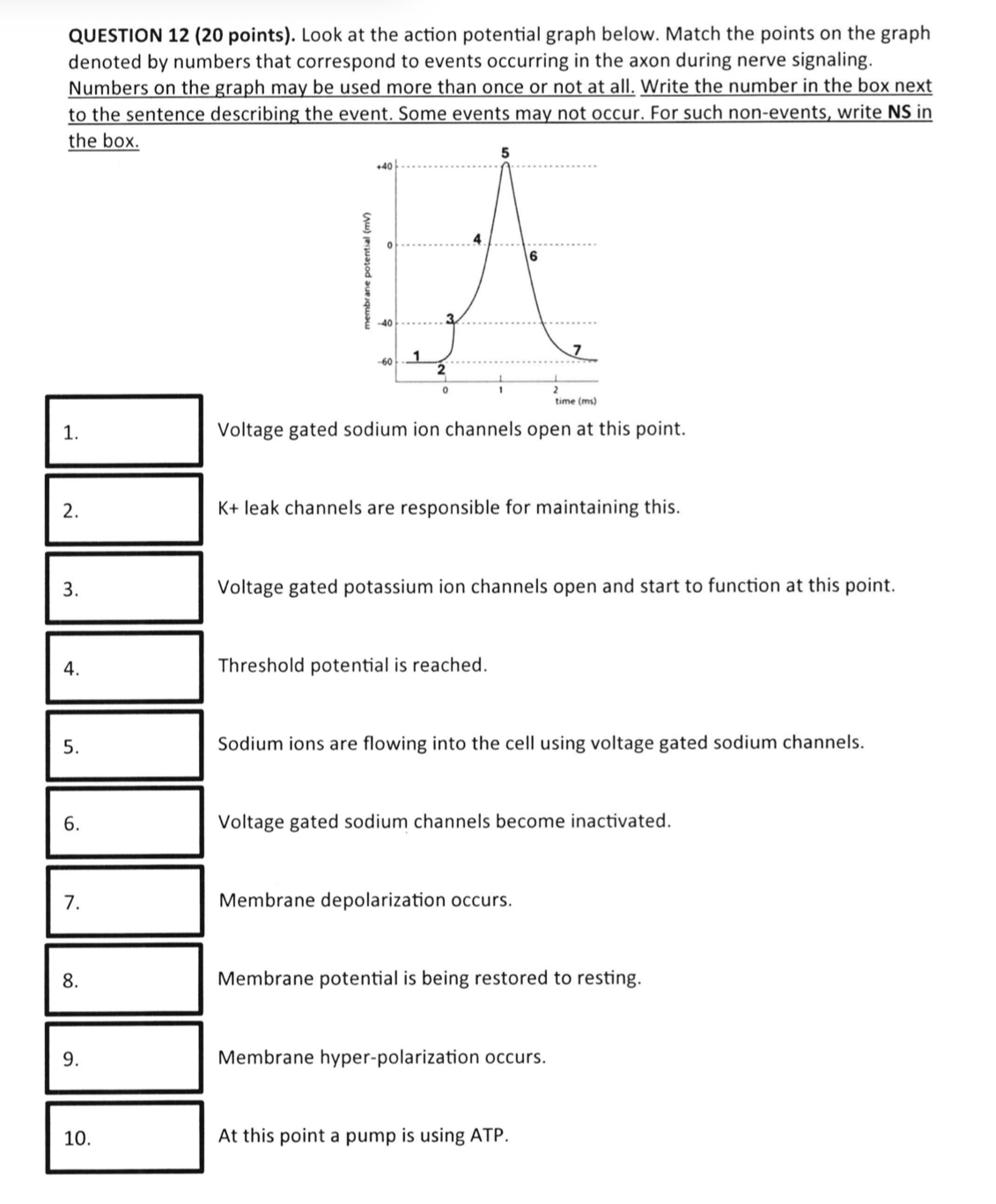 Solved QUESTION 12 (20 ﻿points). ﻿Look at the action | Chegg.com