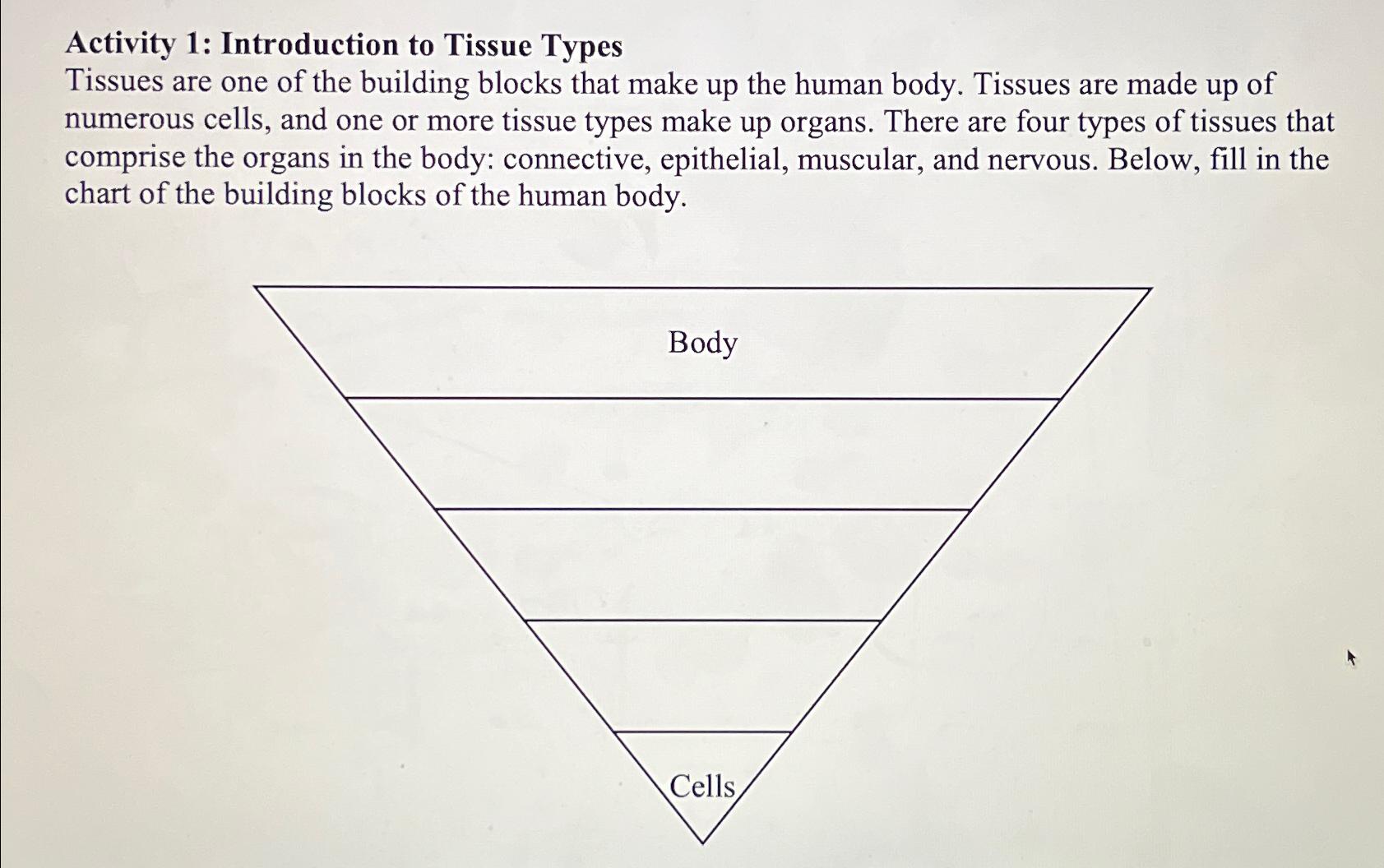 Solved Activity 1: Introduction to Tissue TypesTissues are | Chegg.com