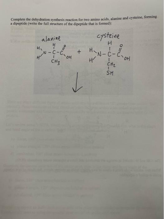 Solved Complete the dehydration synthesis reaction for two | Chegg.com