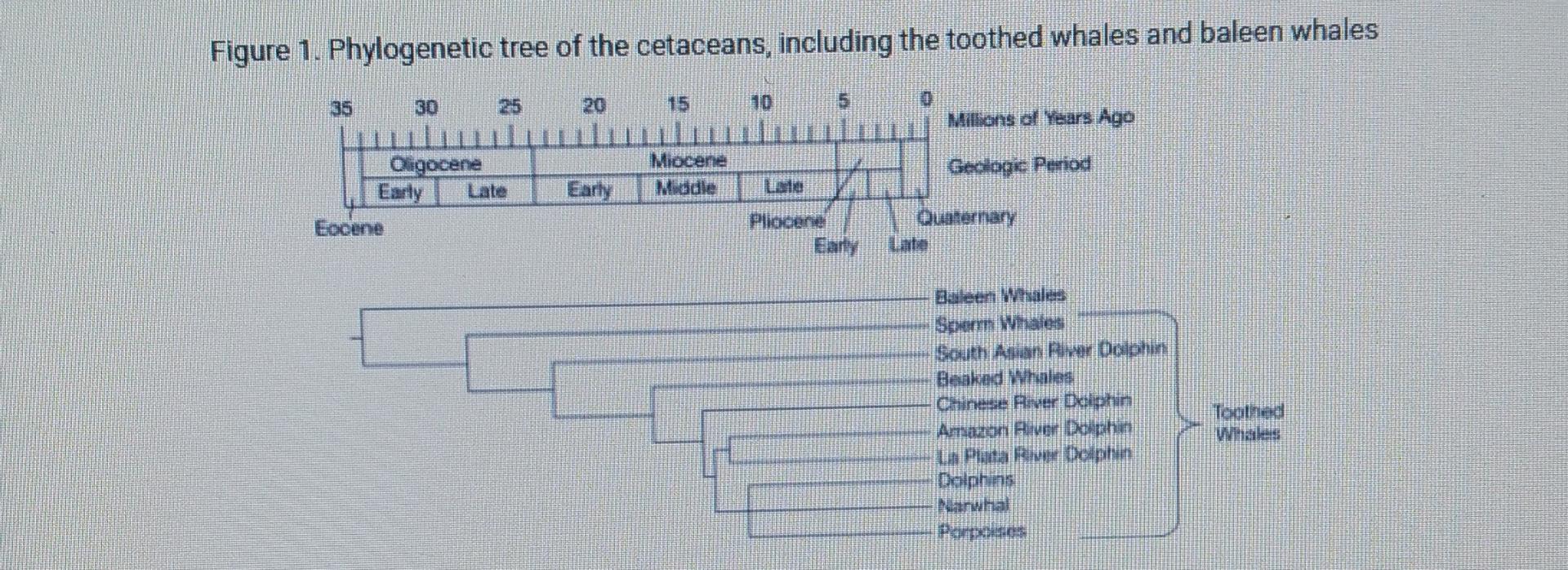 Read each question carefully. Write your response in | Chegg.com