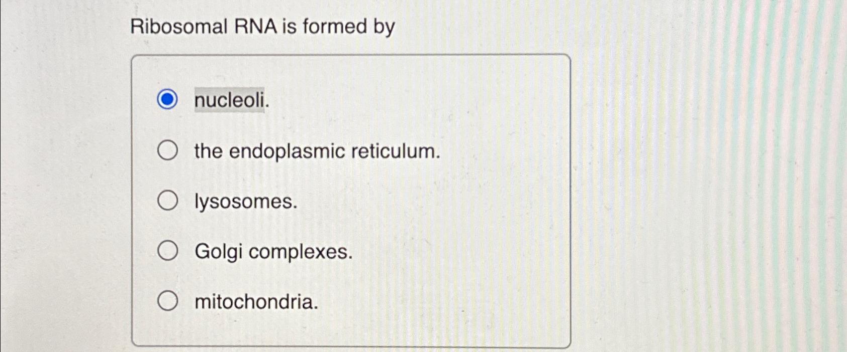 Solved Ribosomal RNA is formed bynucleoli.the endoplasmic | Chegg.com