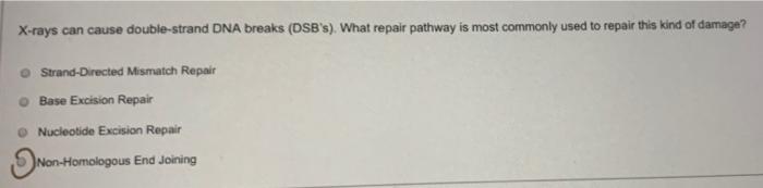 Solved The chromosome end problem is solved by... O | Chegg.com