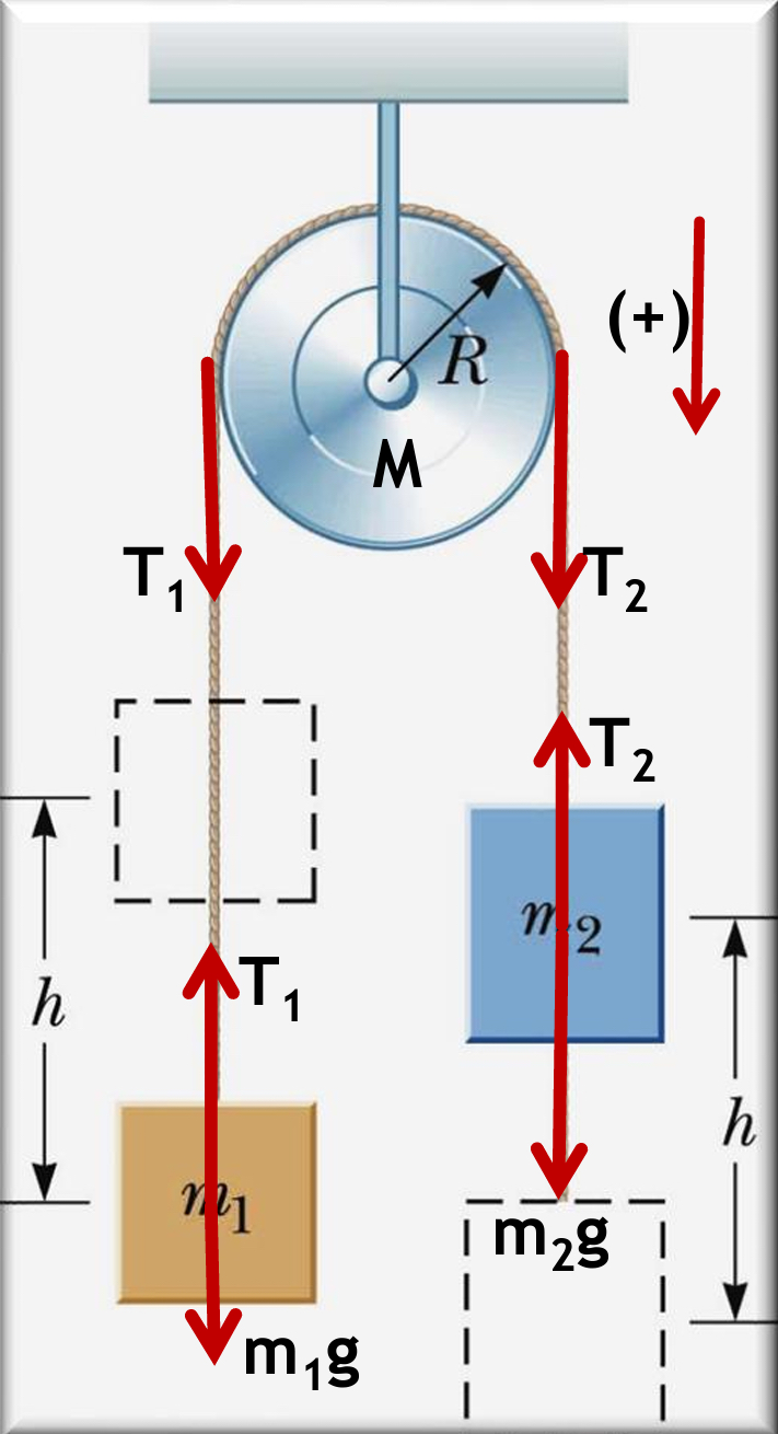 Solved Two bodies with masses m1 ﻿and m2(m2>m1) ﻿are | Chegg.com