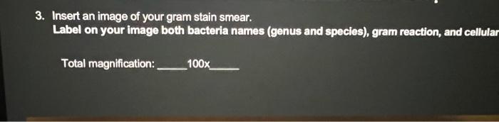 Solved 2. Describe the color of gram (+) and gram (−) cells | Chegg.com