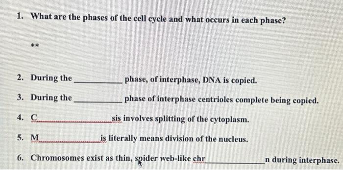 Solved 1. What are the phases of the cell cycle and what | Chegg.com