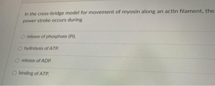 Solved In the cross-bridge model for movement of myosin | Chegg.com