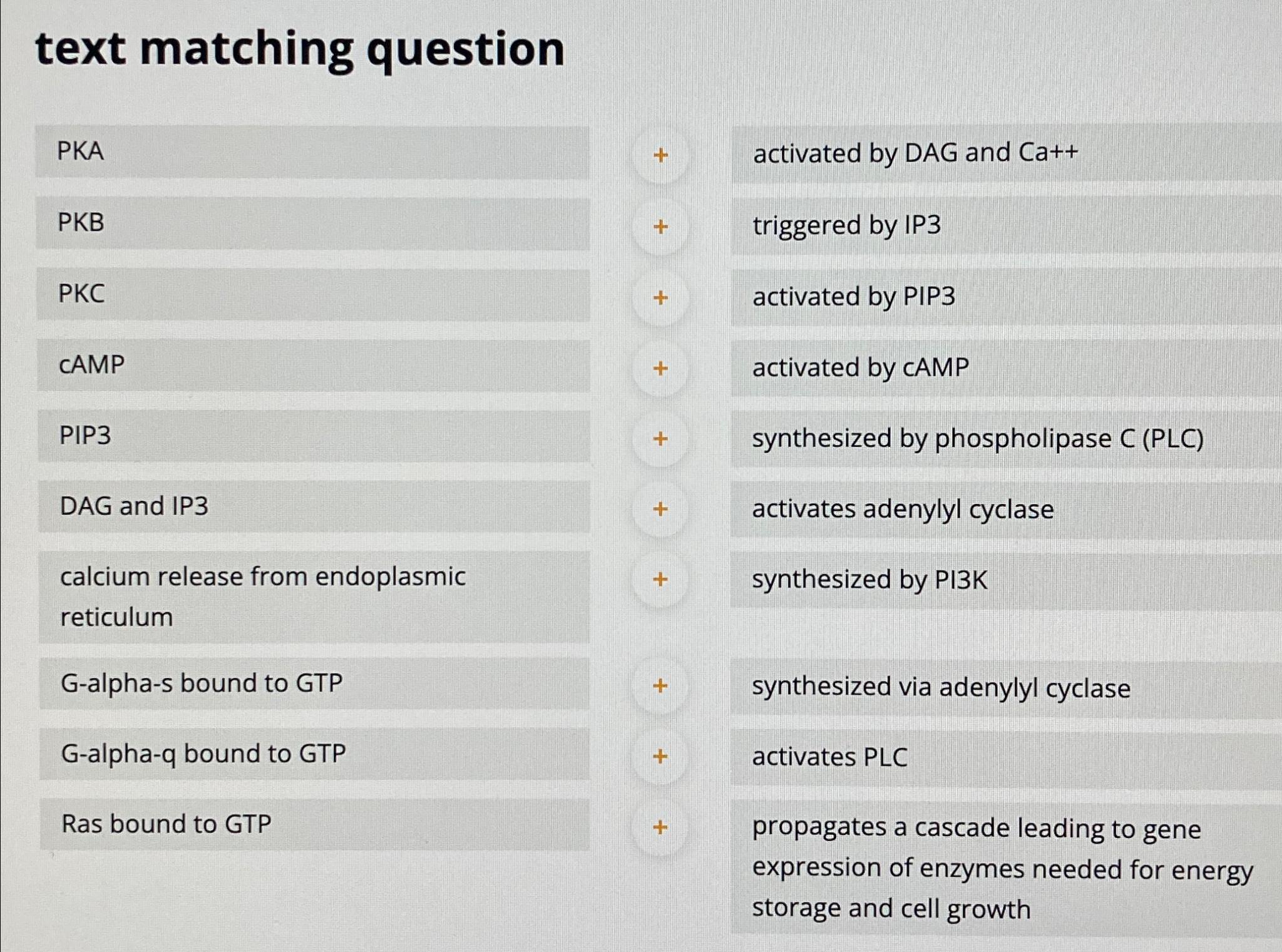 Solved text matching question | Chegg.com