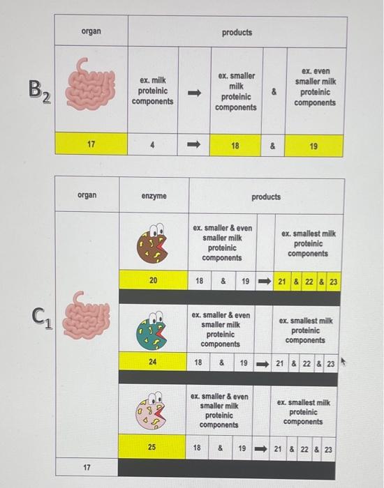 Solved The following tables illustrate the sequence of | Chegg.com