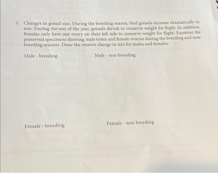 5. Changes in gonad size. During the breeding season, | Chegg.com