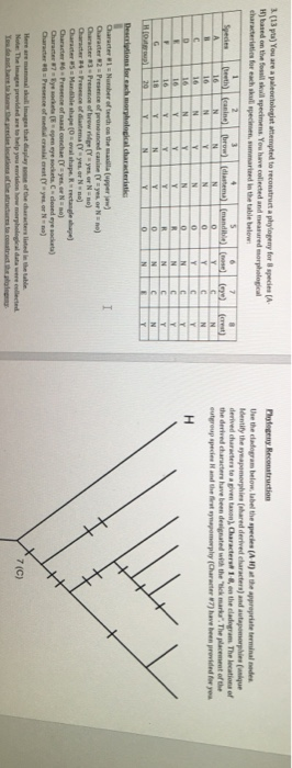 Solved Polegy Reconstruction Une the dadogram below. label | Chegg.com