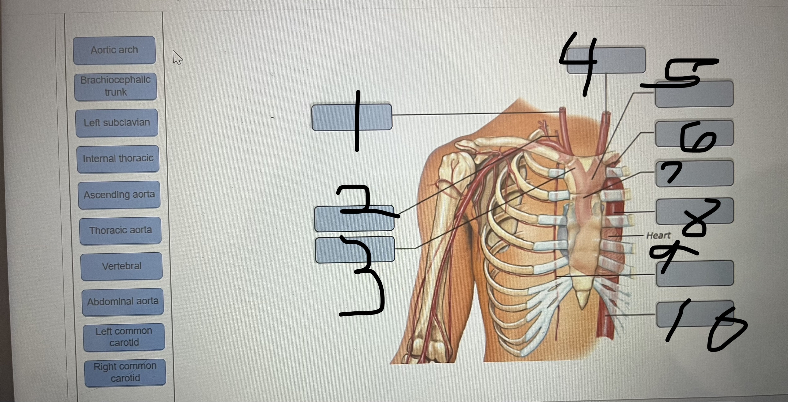 Solved Please label correctly 16 | Chegg.com