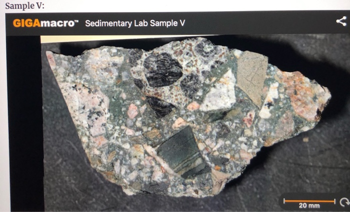 Solved Sample Q: GIGAmacro" Sedimentary Lab Sample Q 2 m | Chegg.com