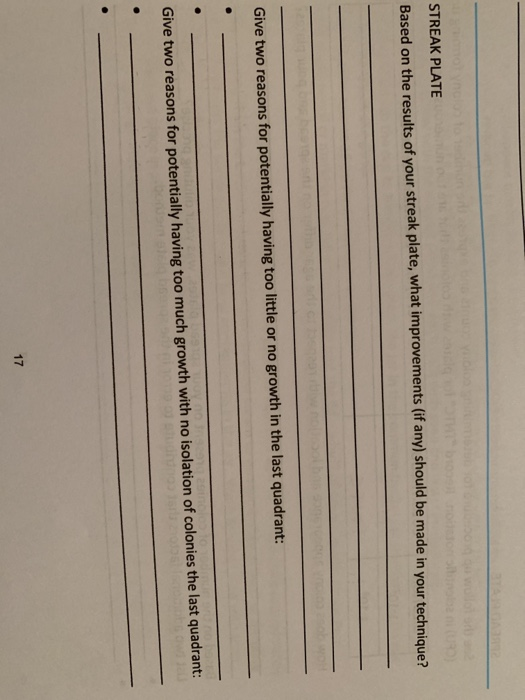 Solved STREAK PLATE Based on the results of your streak | Chegg.com