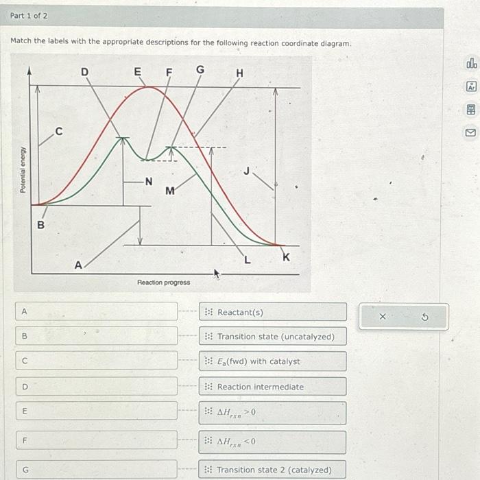 Solved Match the labels with the appropriate descriptions | Chegg.com