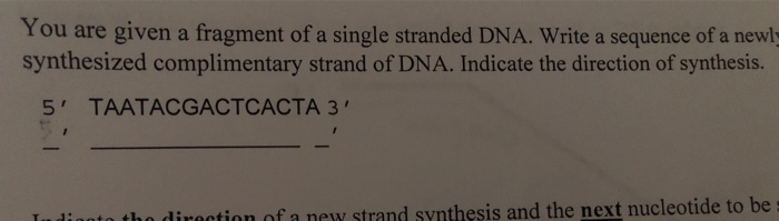 Solved You are given a fragment of a single stranded DNA. | Chegg.com