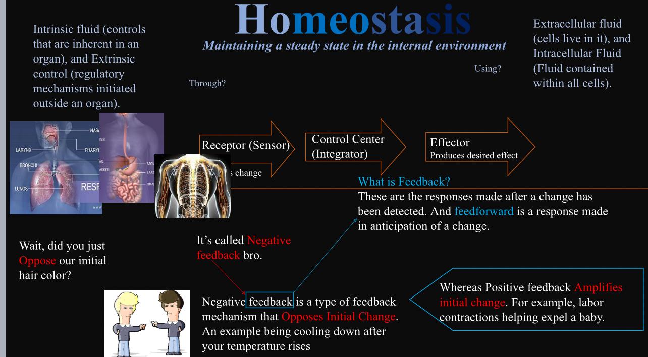 Intrinsic fluid (controls that are inherent in an | Chegg.com