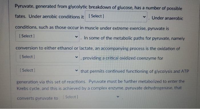 Solved Pyruvate, generated from glycolytic breakdown of | Chegg.com
