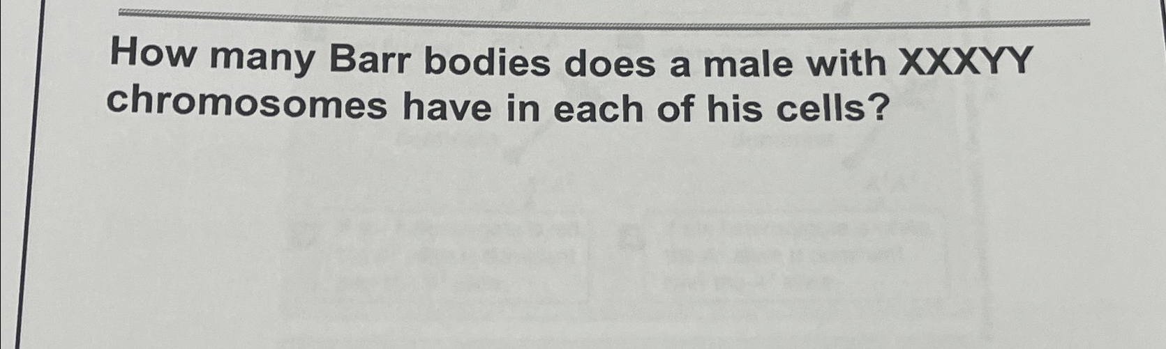 Solved How many Barr bodies does a male with XXXYY | Chegg.com