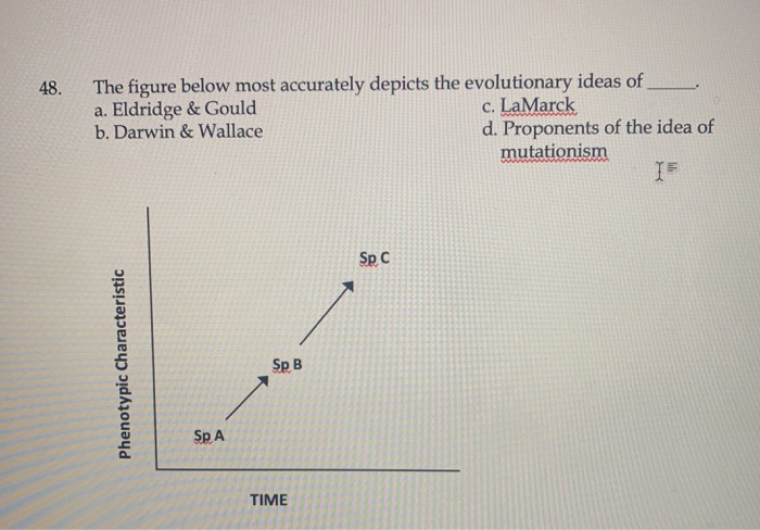 Solved 48. The figure below most accurately depicts the | Chegg.com