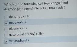 Solved Which of the following cell types engulf and degrade | Chegg.com