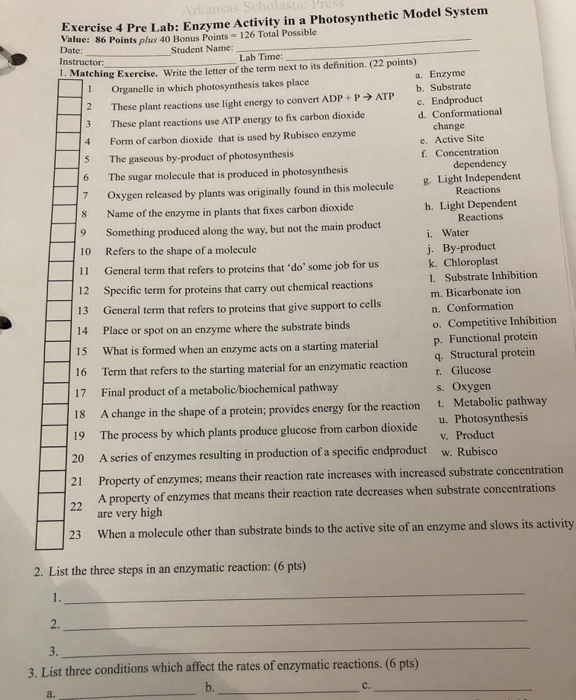Solved Date Instructor Exercise 4 Pre Lab: Enzyme Activity | Chegg.com