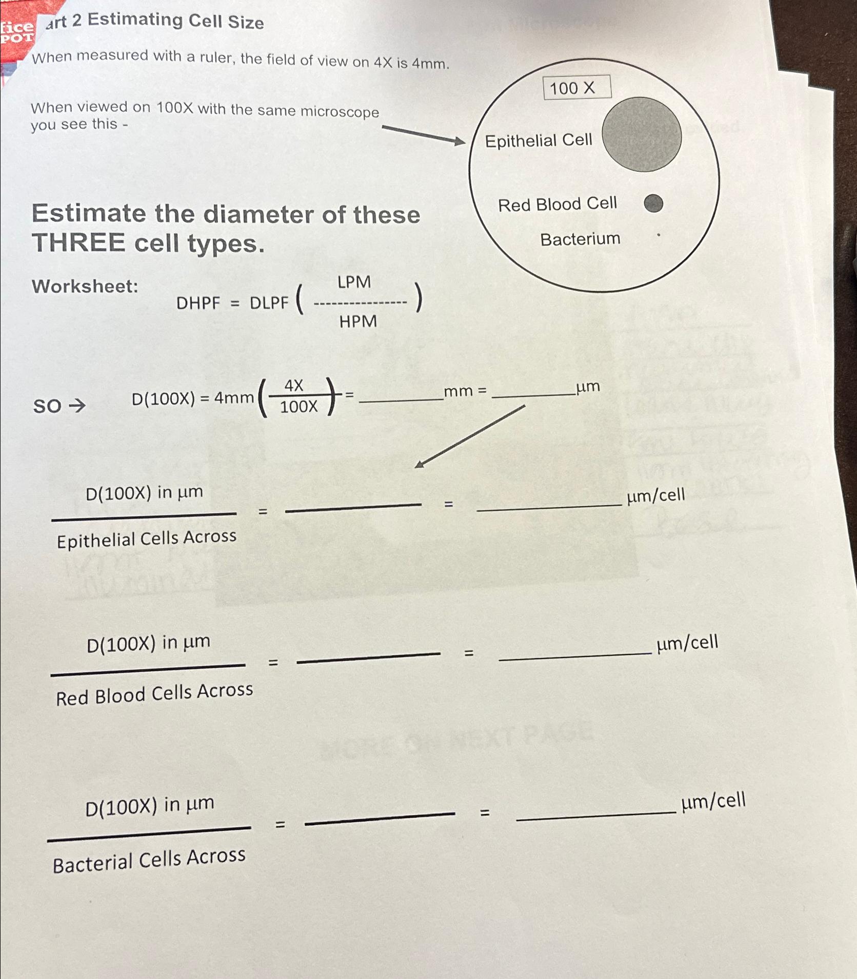 Solved tige art 2 ﻿Estimating Cell SizeWhen measured with a | Chegg.com