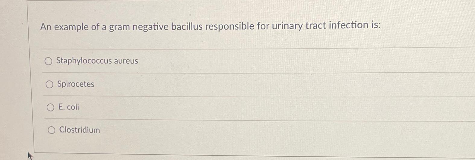Solved An example of a gram negative bacillus responsible | Chegg.com