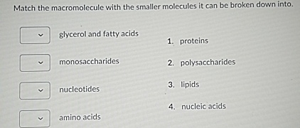 Solved Match the macromolecule with the smaller molecules it | Chegg.com
