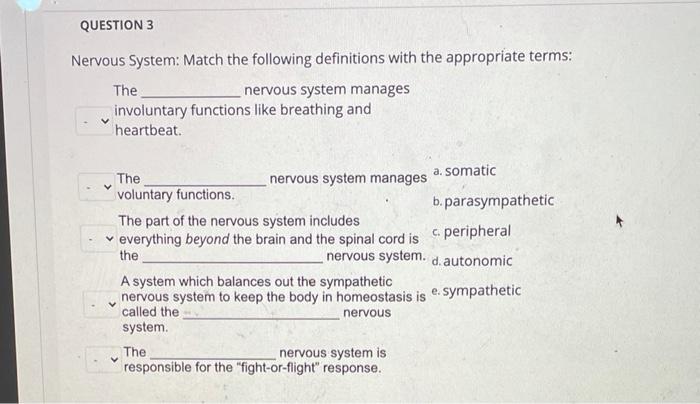 Solved QUESTION 3 Nervous System: Match the following | Chegg.com