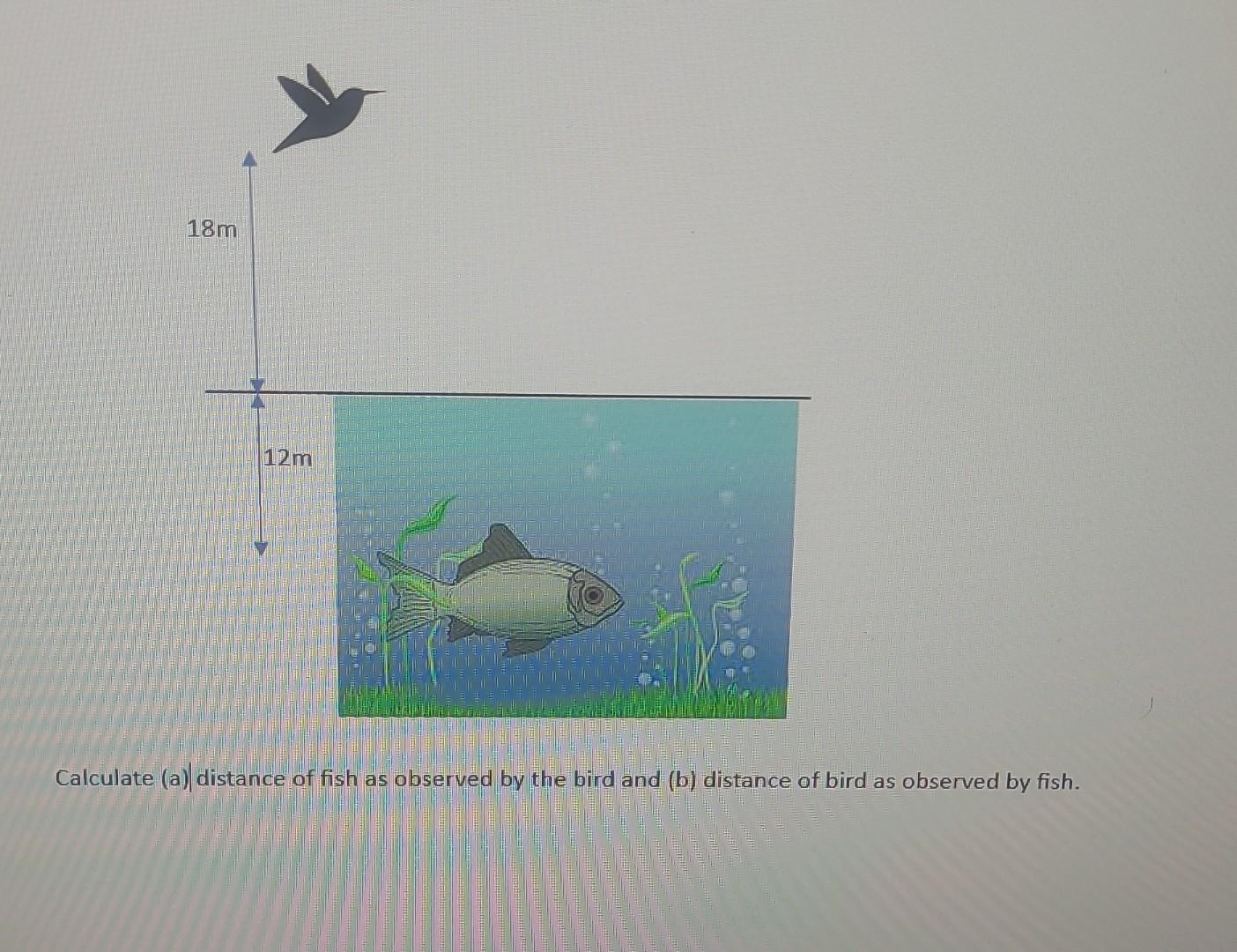 Solved Calculate (a)| distance of fish as observed by the | Chegg.com