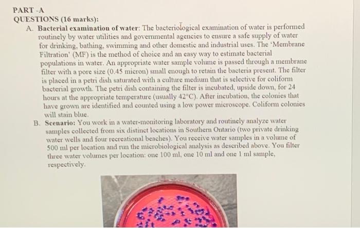 Solved PART-A QUESTIONS (16 marks): A. Bacterial examination | Chegg.com