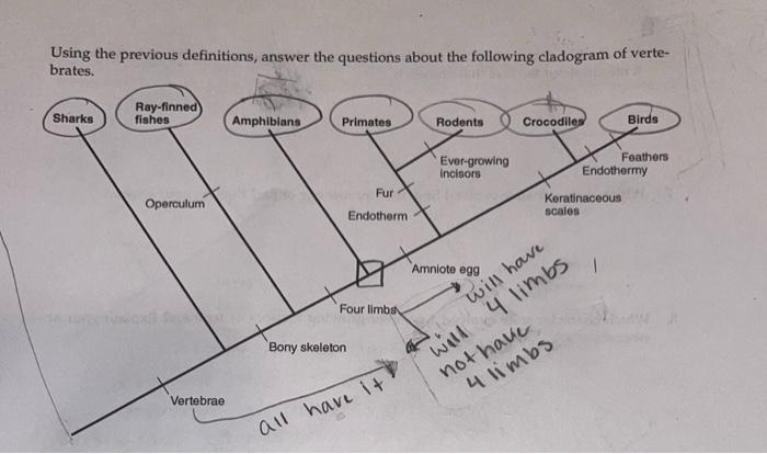 6. List all of the autapomorphies on this cladogram. | Chegg.com