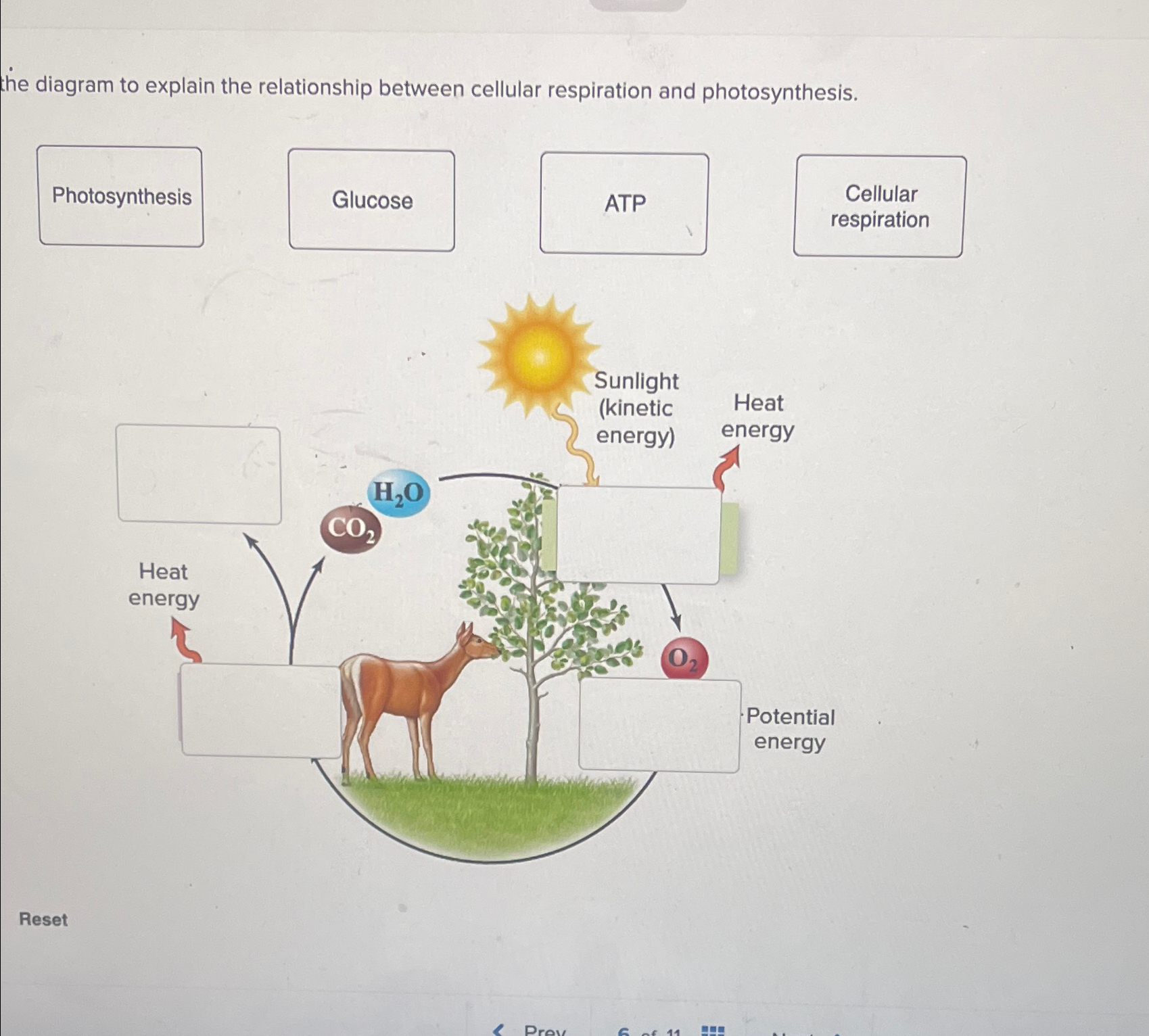 Solved the diagram to explain the relationship between | Chegg.com