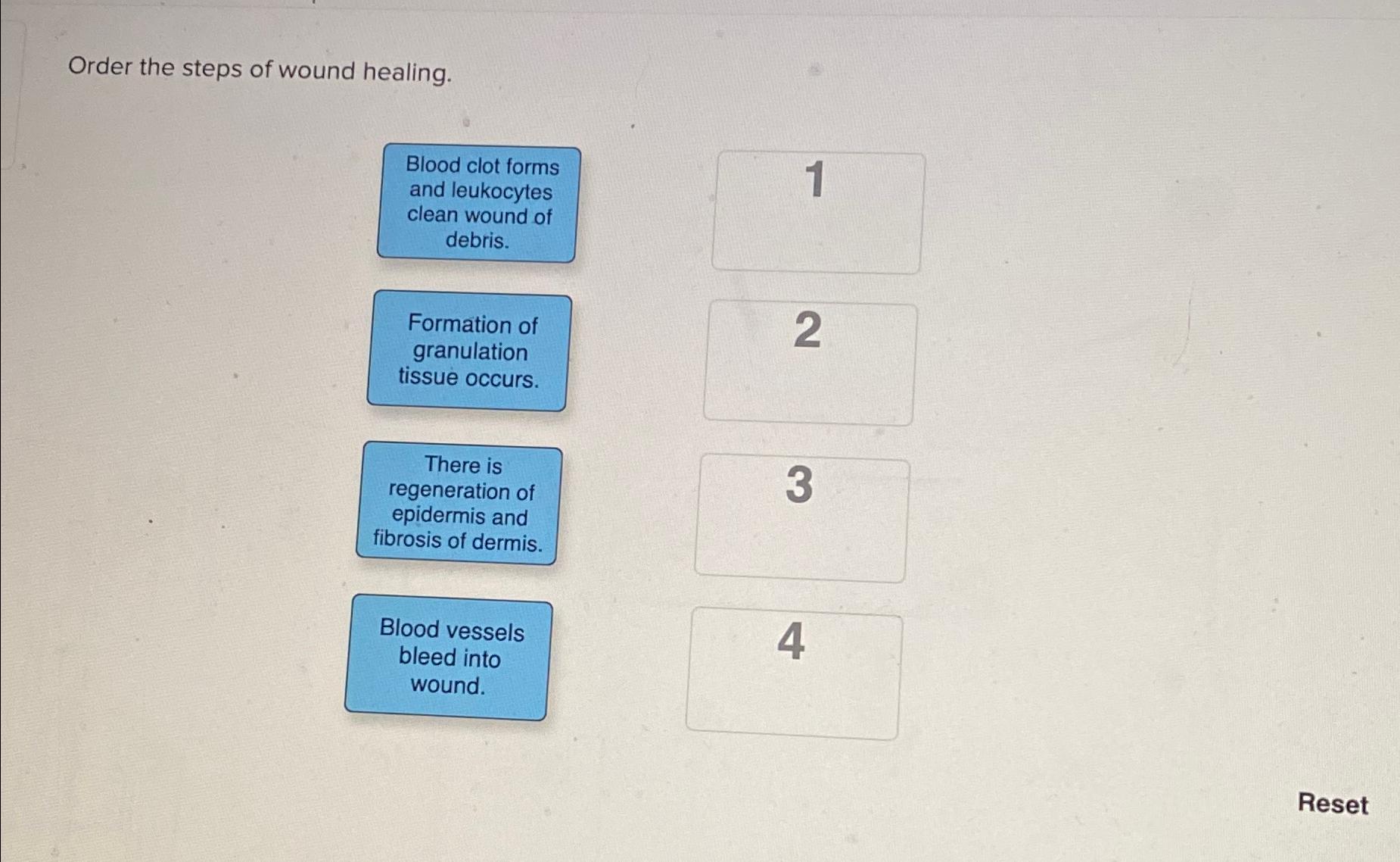 Solved Order the steps of wound healing.Blood clot forms and | Chegg.com