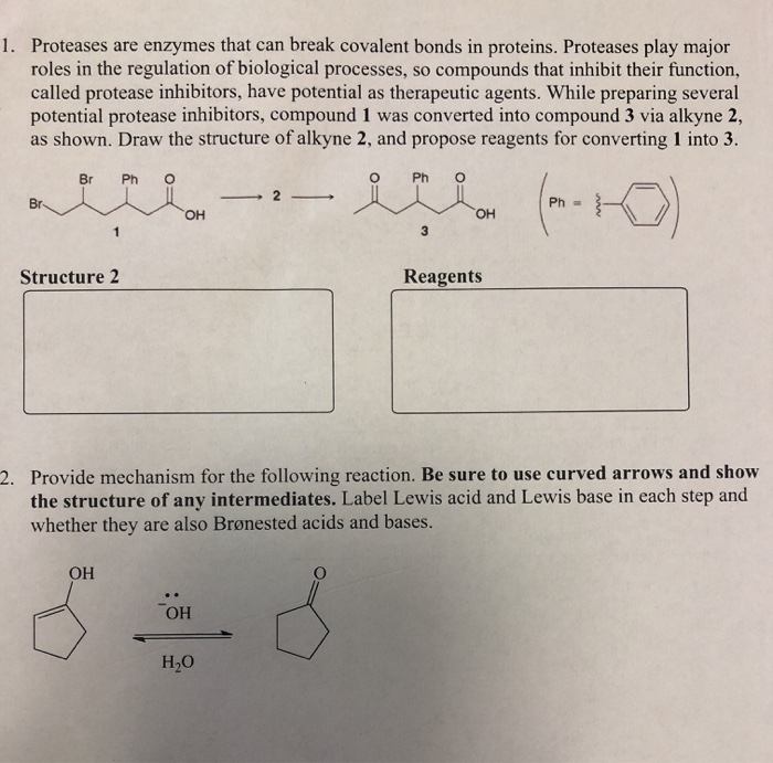 Solved 1. Proteases are enzymes that can break covalent | Chegg.com