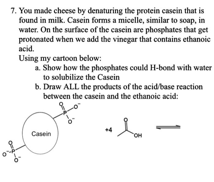 Solved 7. You made cheese by denaturing the protein casein | Chegg.com