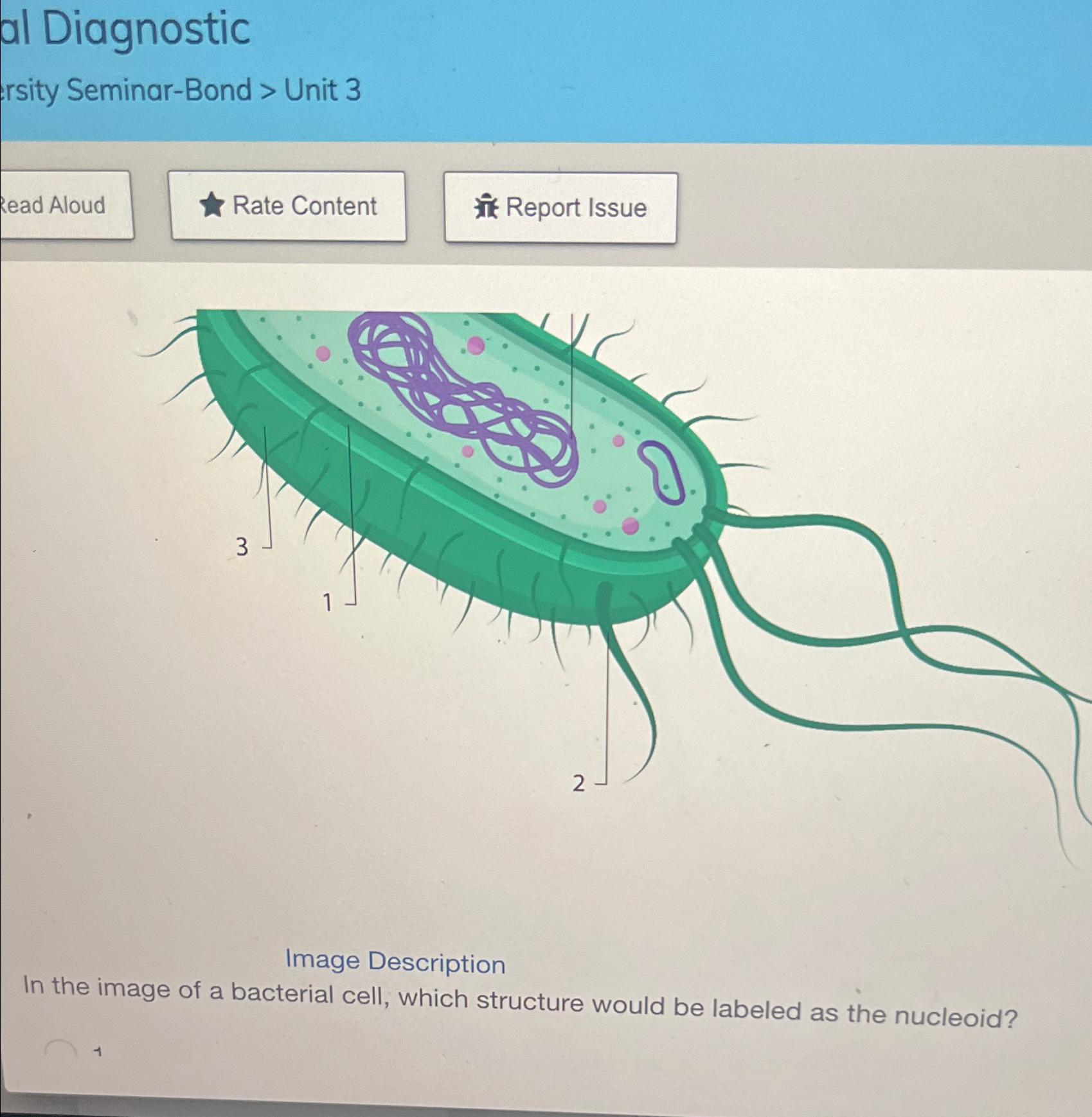 Solved al Diagnosticrsity Seminar-Bond > ﻿Unit 3Image | Chegg.com