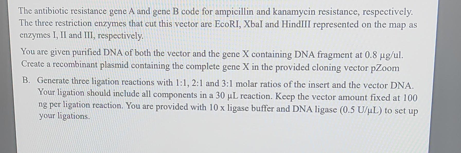 The antibiotic resistance gene A and gene B code for | Chegg.com