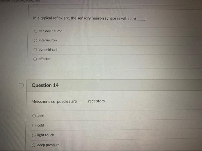 Solved In a typical reflex arc, the sensory neuron synapses | Chegg.com