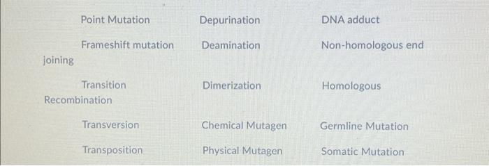 Solved Point Mutation Frameshift mutation joining Transition | Chegg.com