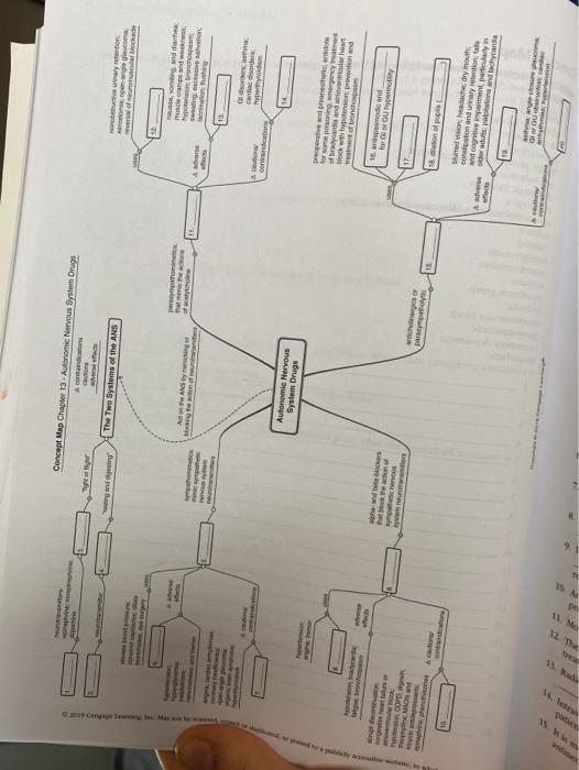 Concept Map Chapter 13. Autonomic Nervous System | Chegg.com