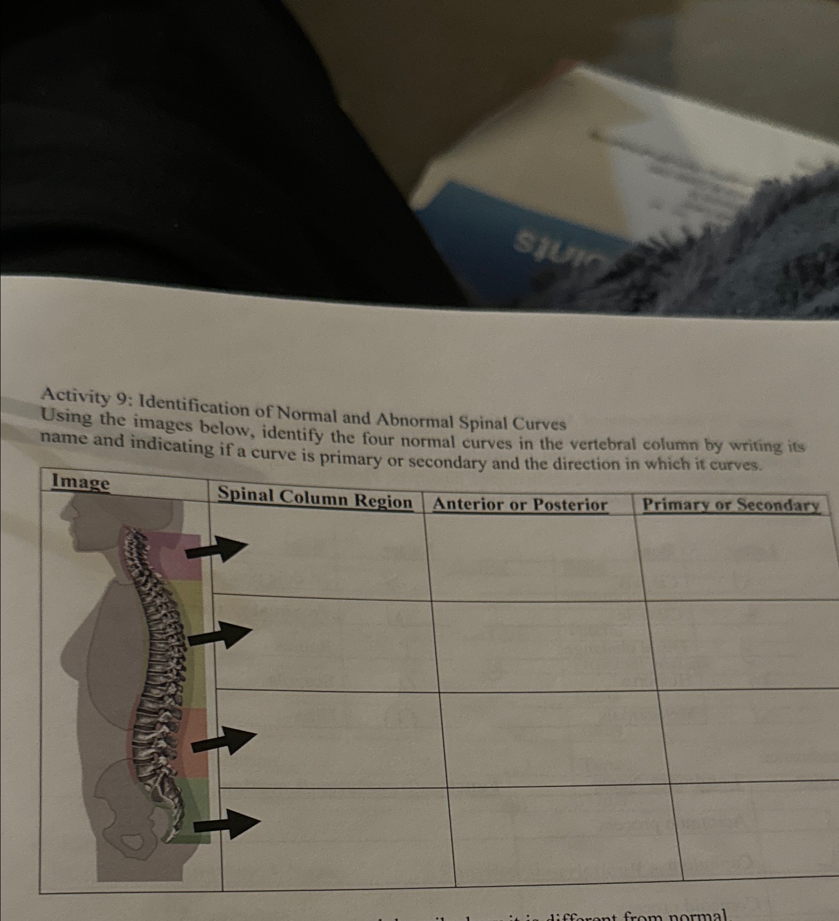 Activity 9: Identification of Normal and Abnormal | Chegg.com