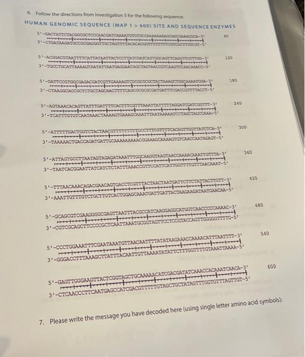 Solved When information is retrieved from long term memory, | Chegg.com