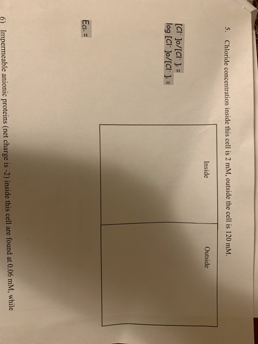 Solved 5. Chloride concentration inside this cell is 2 mM, | Chegg.com