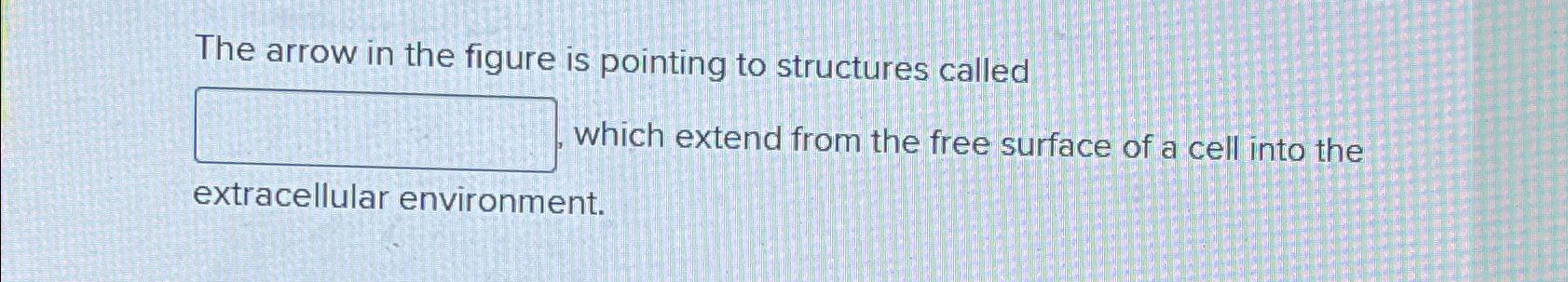 Solved The arrow in the figure is pointing to structures | Chegg.com