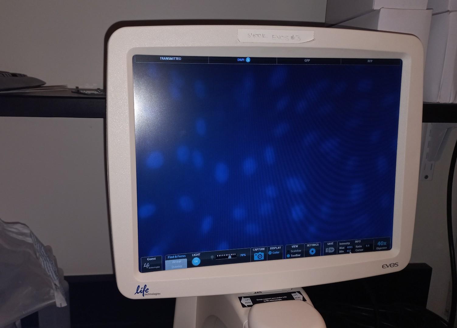 Solved 8 Acquiring Images With Evos Microscope Lab Goal