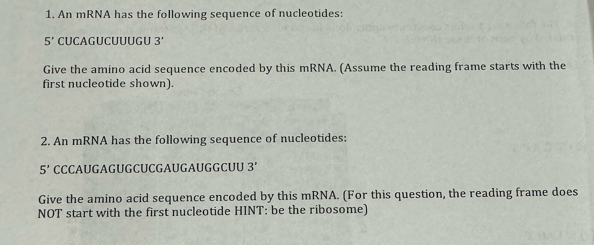 Solved An mRNA has the following sequence of nucleotides:5' | Chegg.com