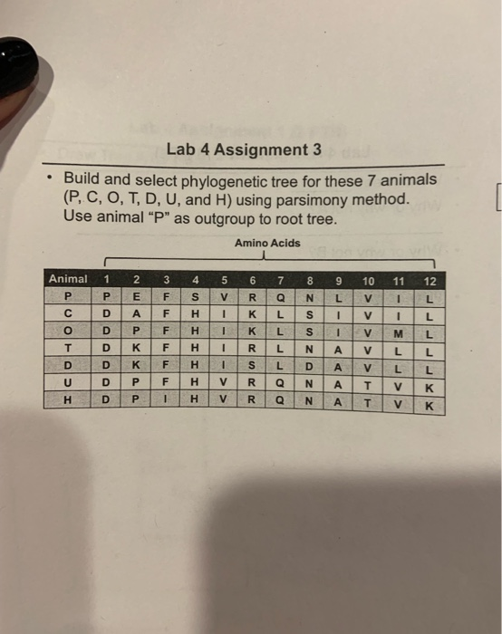 Solved Lab 4 Assignment 3 1P-2E-3F-4S-5V-6R- | Chegg.com