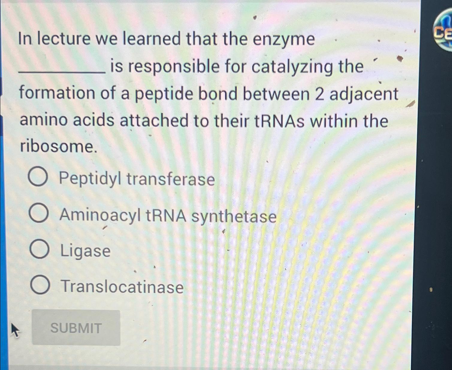 Solved In lecture we learned that the enzyme is responsible | Chegg.com