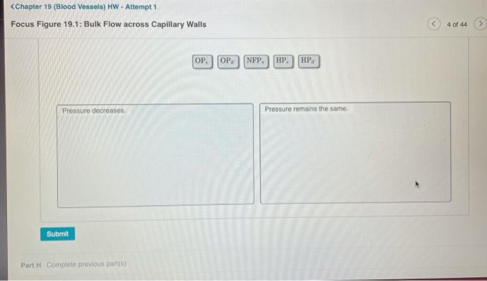 (Chapter 19 (Blood vessels) HW - Attempt 1 Focus | Chegg.com
